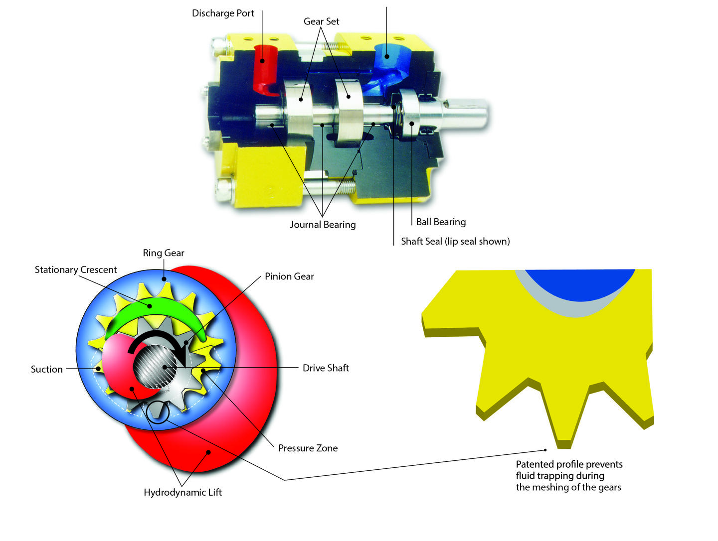 Crescent Internal Gear | CIRCOR Pumps